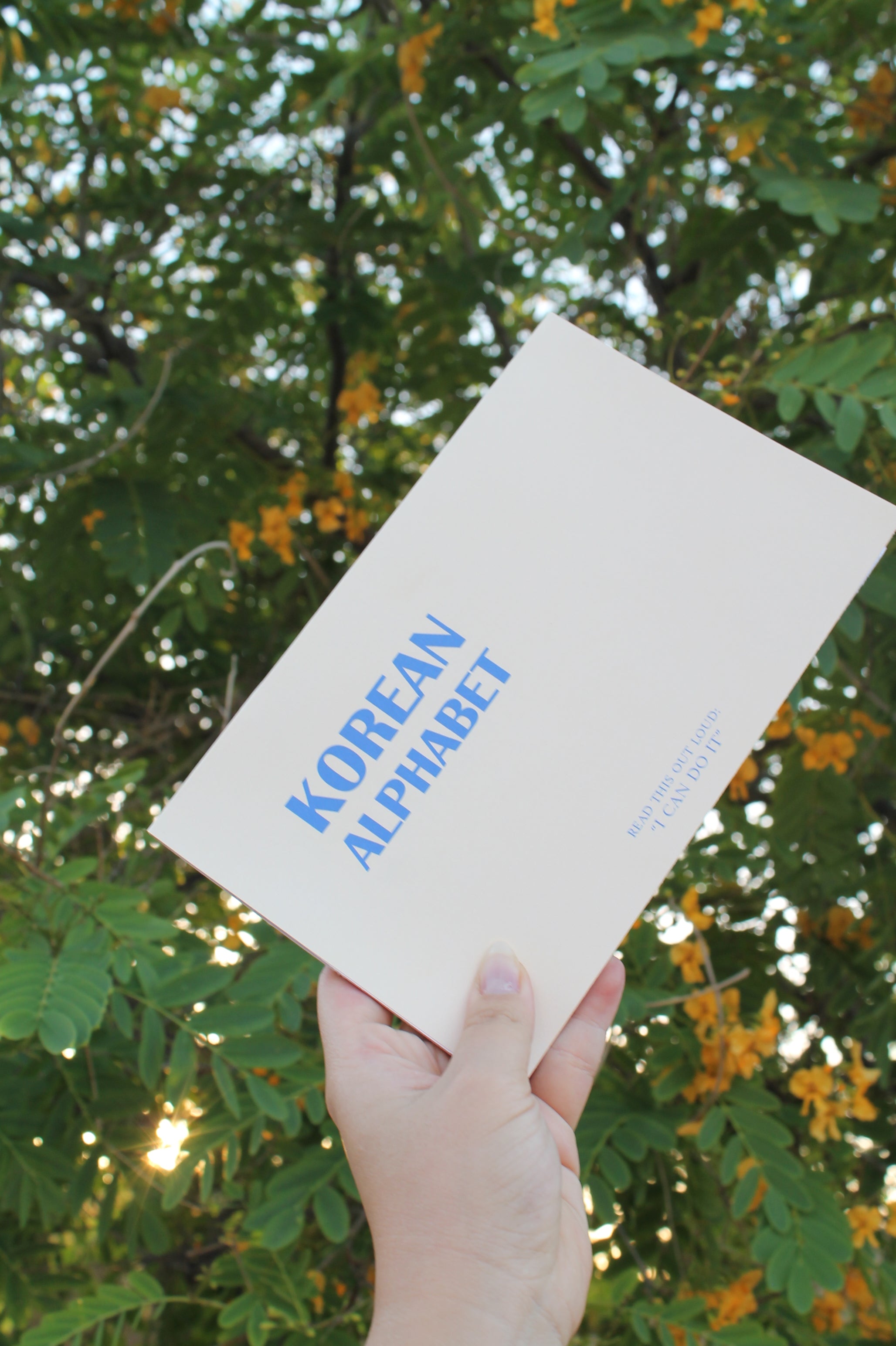 Japanese Alphabet Reusable Board – Omoni Designs